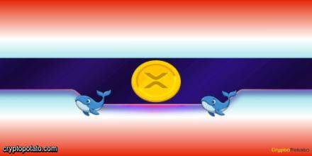 Major Ripple (XRP) Price Warning: Big Whale Exodus Sparks New Crash Fears