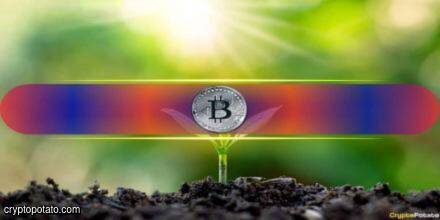 Was Last Week’s Deleveraging Event a Necessary Reset for The Bitcoin Market? Glassnode Weighs In