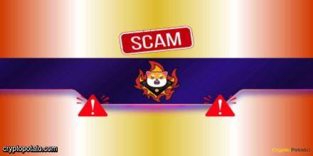 Critical Warning Concerning Shiba Inu (SHIB) Users: Details