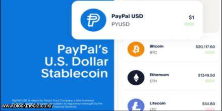 팍소스 “PYUSD 300조 달러 ‘실수로’ 발행했다 소각했다”
