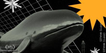 3 Shifts in Bitcoin Whale Behavior After the October Market Crash
