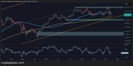Bitcoin Price Analysis: BTC at Risk of Bigger Correction if This Key Metric Stays Weak