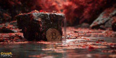 Bitcoin nadal spada. Ponad 600 mln USD w likwidacjach