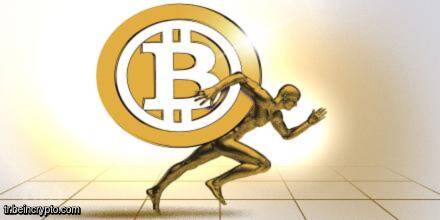 Dünya Altına Koşuyor: Asıl Kazanan Bitcoin Olabilir