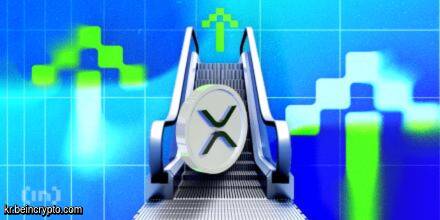 XRP 고래 수 사상 최고…시장 혼란 속