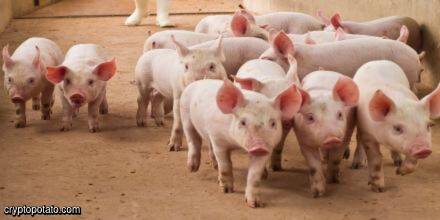 US Seeks Forfeiture of $14.2B Bitcoin Linked to Pig-Butchering Kingpin Chen Zhi