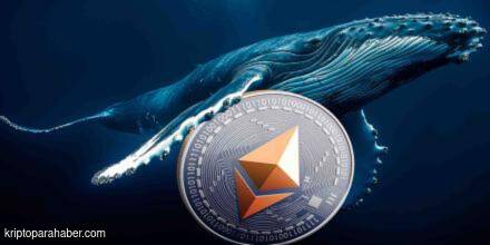 Piyasa çöküşünün ardından balinaların biriktirdiği 3 altcoin