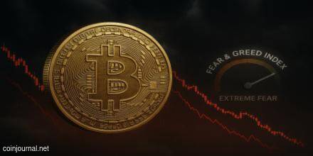 Bitcoin holds steady as the market resets after a massive leverage flush