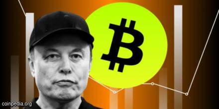 SpaceX Moves 2,395 BTC Amid Bitcoin Slump, Is Musk Selling or HODLing?