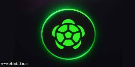 Turtle Coin e Snorter Bot: inovando liquidez no DeFi para traders