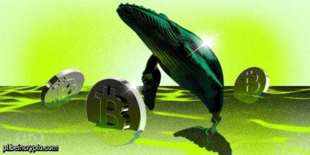 Ten wieloryb Bitcoina z ery Satoshiego obudził się po 14 latach