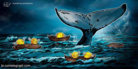 Será que as maiores baleias de Bitcoin realmente podem decidir quando o mercado fica verde ou vermelho?