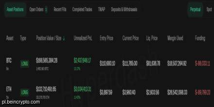 Jak on to zrobił? Trader kryptowalut zarabia 17 mln USD na odbiciu BTC i ETH
