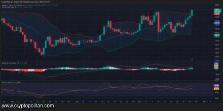 Monero price prediction 2025-2031: Should you buy XMR now?