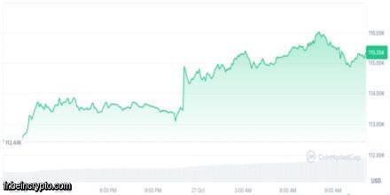 24h Crypto : plus jamais d’altcoin season sur le marché ?