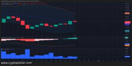 Aave price prediction 2025-2031: Is AAVE a good investment?