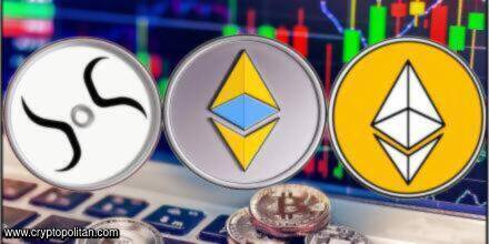 Top 3 Crypto Coins with Potential to Lead the Next Bull Run