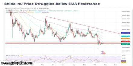Shiba Inu (SHIB) Millionaires Identify the Next Big Crypto, Currently Priced at Just $0.035