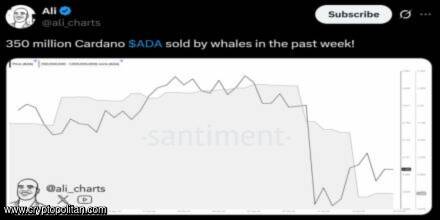 Crypto News: Cardano Faces Selling Pressure as Whales Dump 350 Million ADA, Here’s Where the Capital Is Flowing