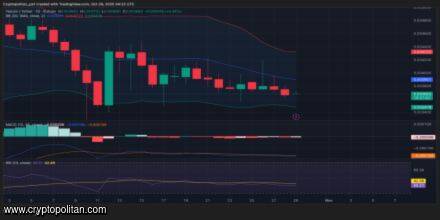 Telcoin Price Prediction 2025-2031: Will TEL recover it ATH?