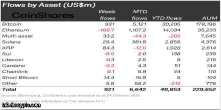 Solana fiyatı Kasım 2025’te ne olur?