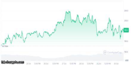 Alerte rouge sur Solana : le marché se prépare à une correction violente