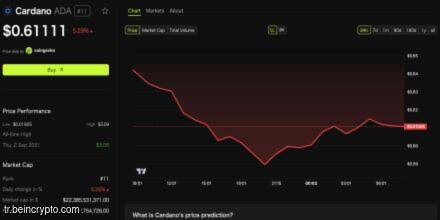 Dogecoin 2,0 mı? Cardano kurucusundan Elon Musk’ın X’e DOGE hamlesi