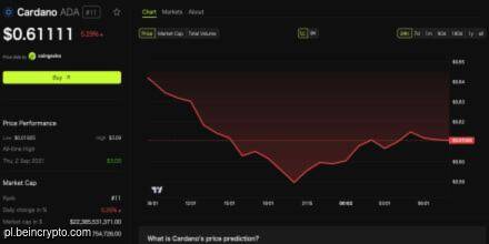 Szykuje się Dogecoin 2.0? Szef Cardano znów zaczepia Elona Muska