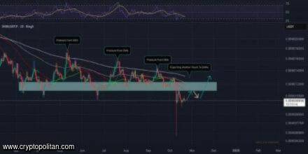 Whales Dump Shiba Inu (SHIB) Holdings Amid Hype Fatigue, Opt For This New Crypto Coin For 70x ROI
