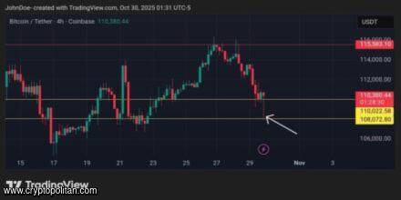 Top Crypto to Invest in as Bitcoin (BTC) Loses the $110,000 Level 