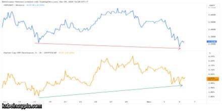 XRP 투자자들 견고함…시장 두려움에도 불구