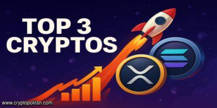 Top 3 Cryptos That Could Make You a Millionaire During the Next Bitcoin Rally