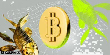 Bitcoin et l’or bientôt dépassés ? L’actif qui va dominer en 2026