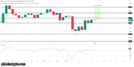 TOP 3 altcoiny na drugi tydzień listopada 2025 roku