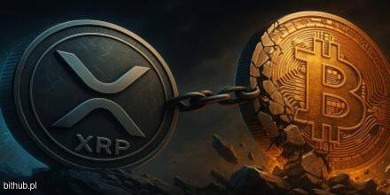 Znany analityk ostrzega: bez tego XRP nie ma przyszłości. To kula u nogi?