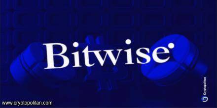 Bitwise CIO Matt Hougan says Trump’s pro-crypto policies fuel institutional inflows