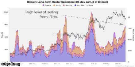 Is Bitcoin Price In a Macro Bear Market? Analysts Insights