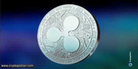 XRP ETF debuts with momentum, but Ripple-related tokens stay flat