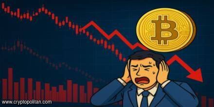 Crypto Market Crash Shocks Investors, but One Trend Is Standing Out