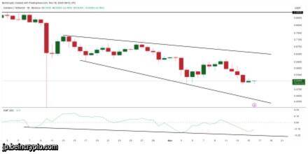カルダノ、崩壊回避し反発の兆し