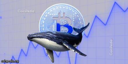 CryptoQuant CEO Ki Young Ju Says OG Whales Are Dragging the Market