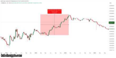 하락장에서 생존 가능한 알트코인 Top3
