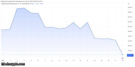Vers une saison des altcoins pour se remettre du crash ?