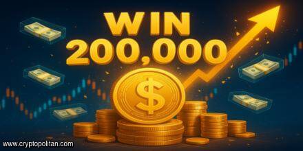 How to Win 200,000 Dollars During the Presale and Why RNS Is Behind It
