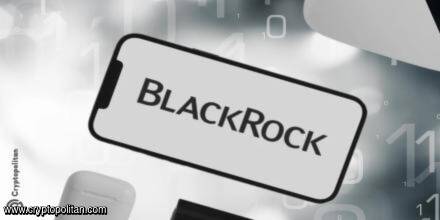 BlackRock boosts U.S. stock overweight to 3% in model portfolios