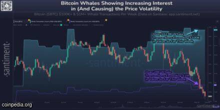 What Happened in the Crypto Market Today: XRP Price Today, Bitcoin Price Reacts to U.S. Jobs Report and latest Crypto News