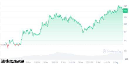 Starknet gagne 80 % : comment résiste-t-il au crash ?
