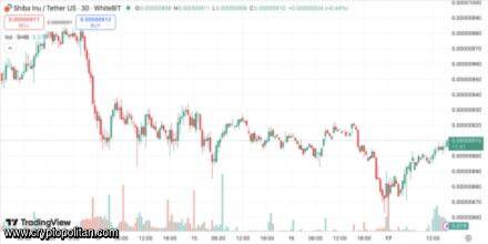 Shiba Inu Price Prediction: Experts Say This New Crypto Could Spark the Next SHIB Moment 