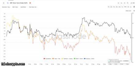 Actualités XRP : Le plancher est là, mais pas le rebond