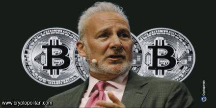 Peter Schiff says only an unlikely government intervention can save Bitcoin 